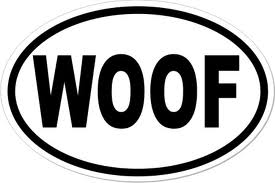 2 Weeks Unplugged: The Debrief | Scruff and the City